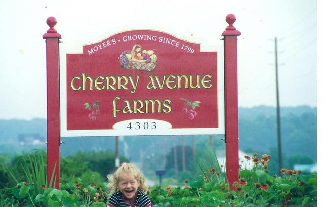 Cherry Avenue Farms Fruit Picking - 精彩生活 - 多伦多网
